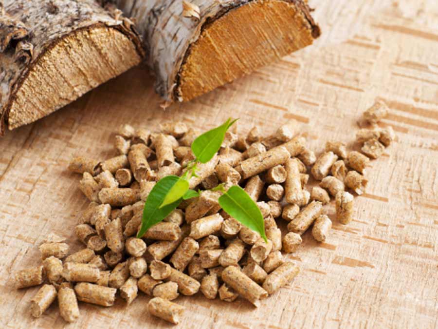 ¿Sabes cuáles son las ventajas del pellet? - Grup Gamma